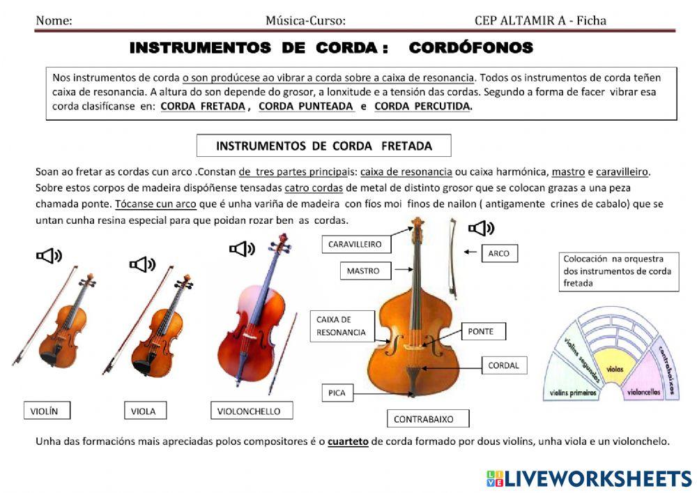 Os instrumentos de corda 5º worksheet | Live Worksheets