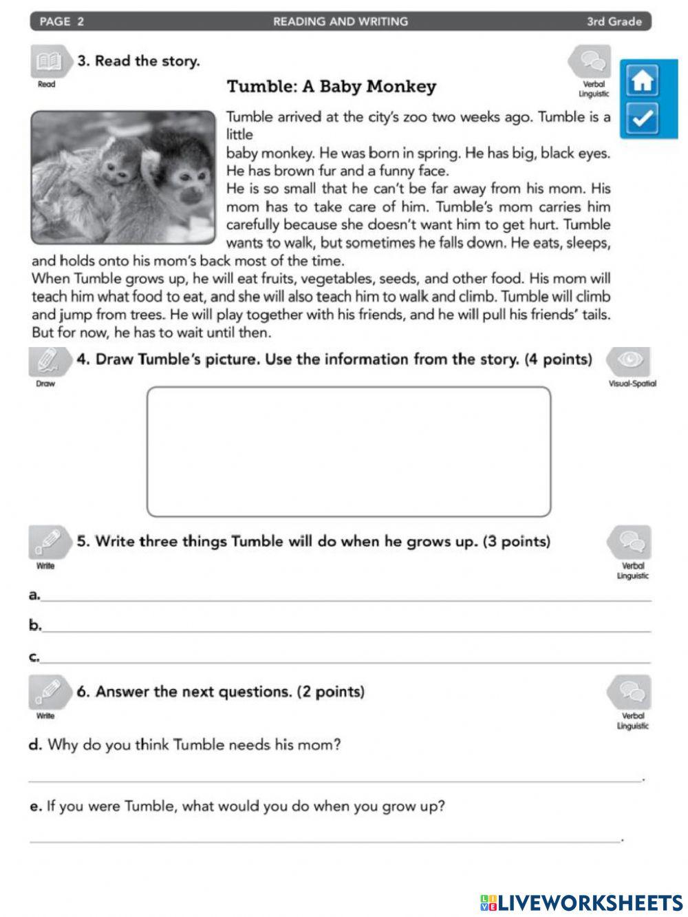 Exam 3rd grade Unit 4 online exercise for | Live Worksheets