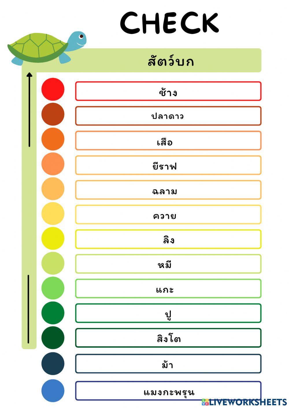 Pretty worksheet | Live Worksheets