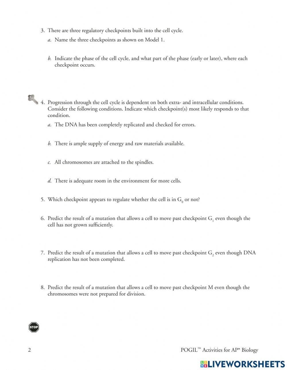 Cell Cycle POGIL Regulation Online Exercise For Live Worksheets cell-cycle-pogil-regulation-online-exercise-for-live-worksheets