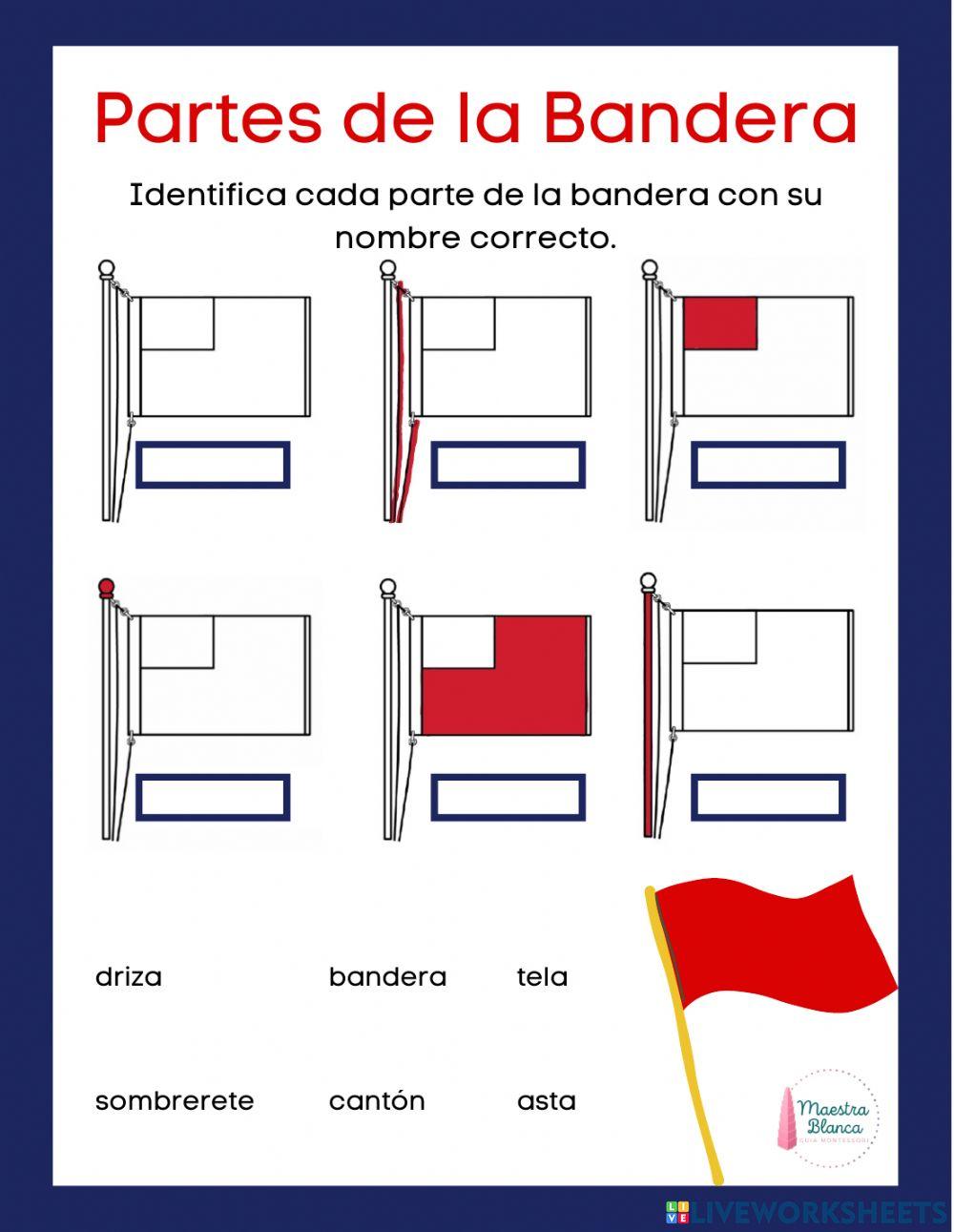 Partes de la bandera interactive worksheet | Live Worksheets