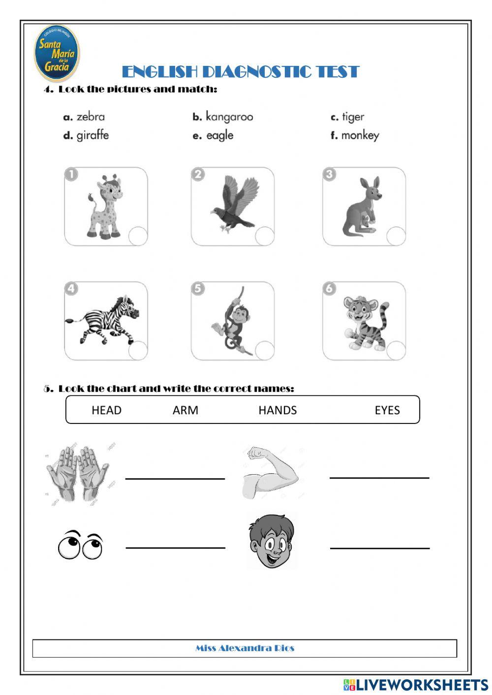 1938691 | Diagnostic test | Alexandra Rios