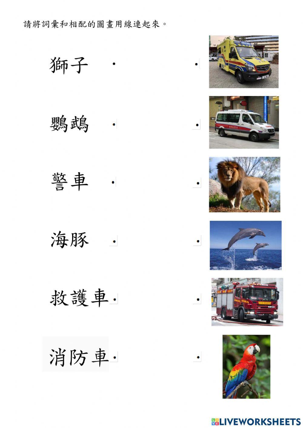 Animal and Transport 1937598 | Carmen1116 | Live