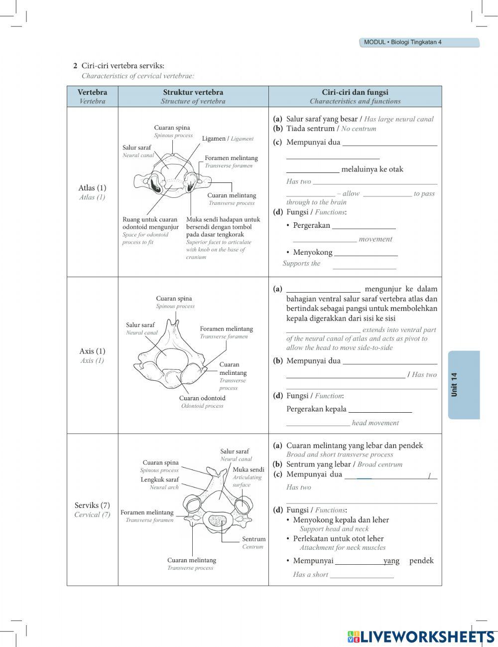 Biologi Ting. 4 KSSM MODUL BAB 14 worksheet | Live Worksheets
