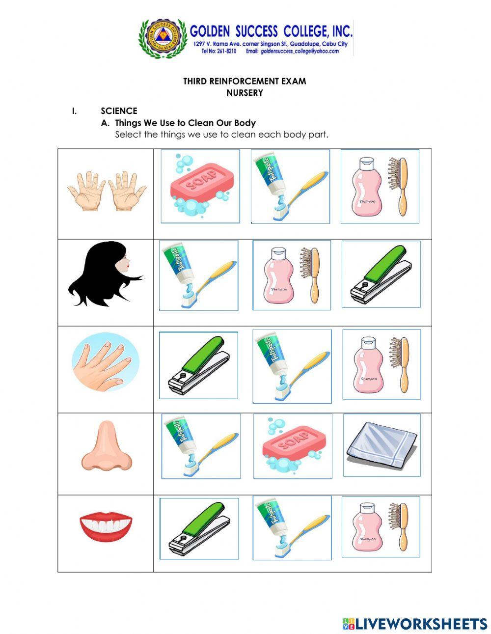 Science online exercise for kinder | Live Worksheets