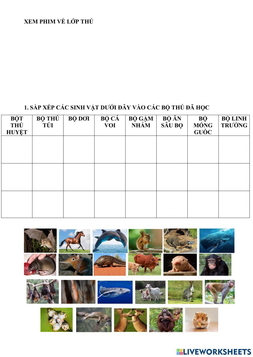 Tiet 50. xem phim về lớp thú worksheet | Live Worksheets