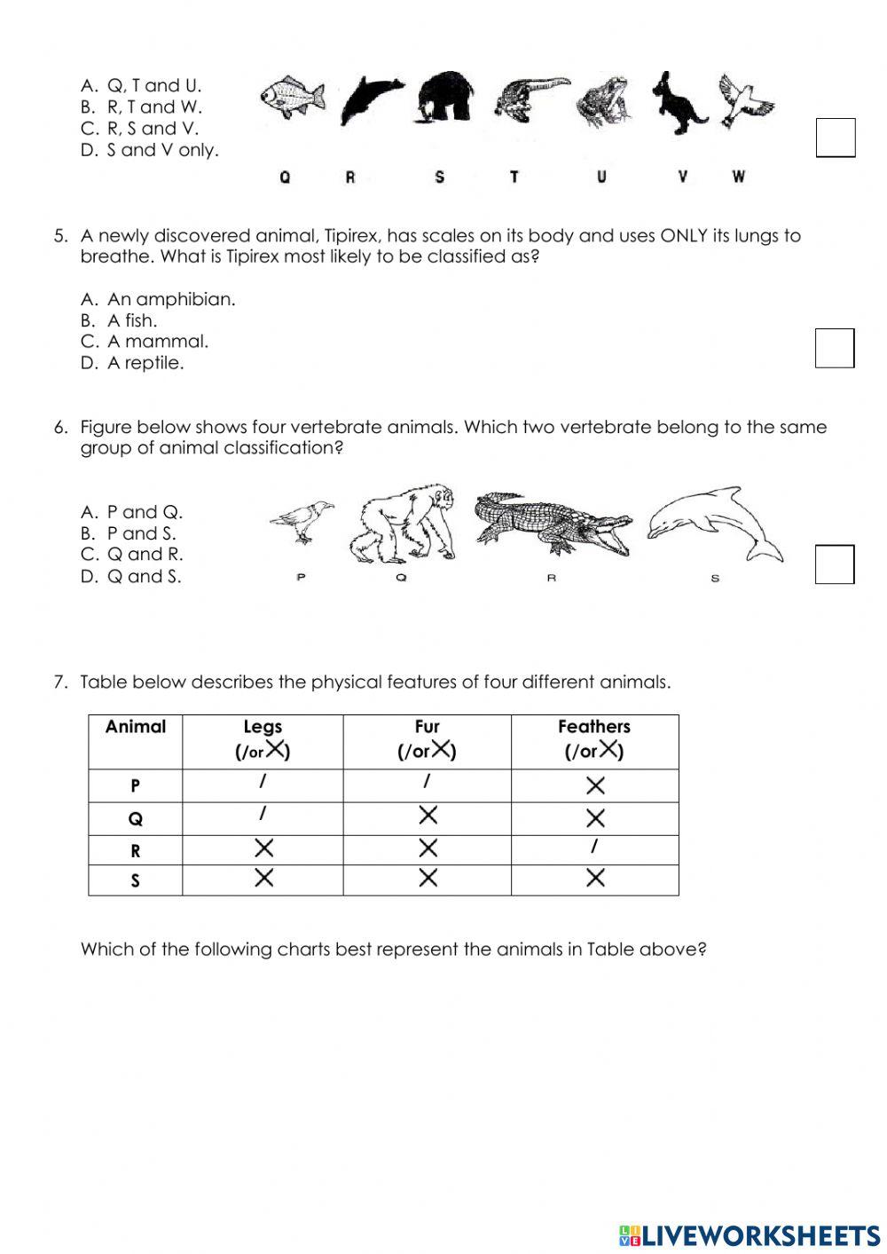 Classification Free Interactive Worksheets 1943532 classification-free-interactive-worksheets-1943532