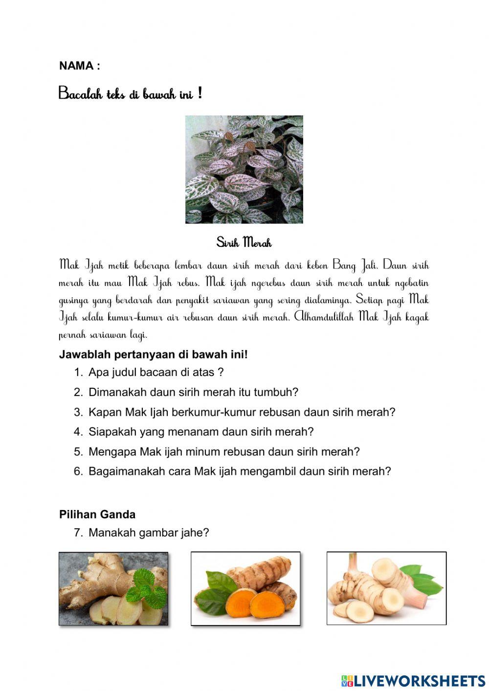 Penirumidah | Mulok 1943869 | LiveWorksheets