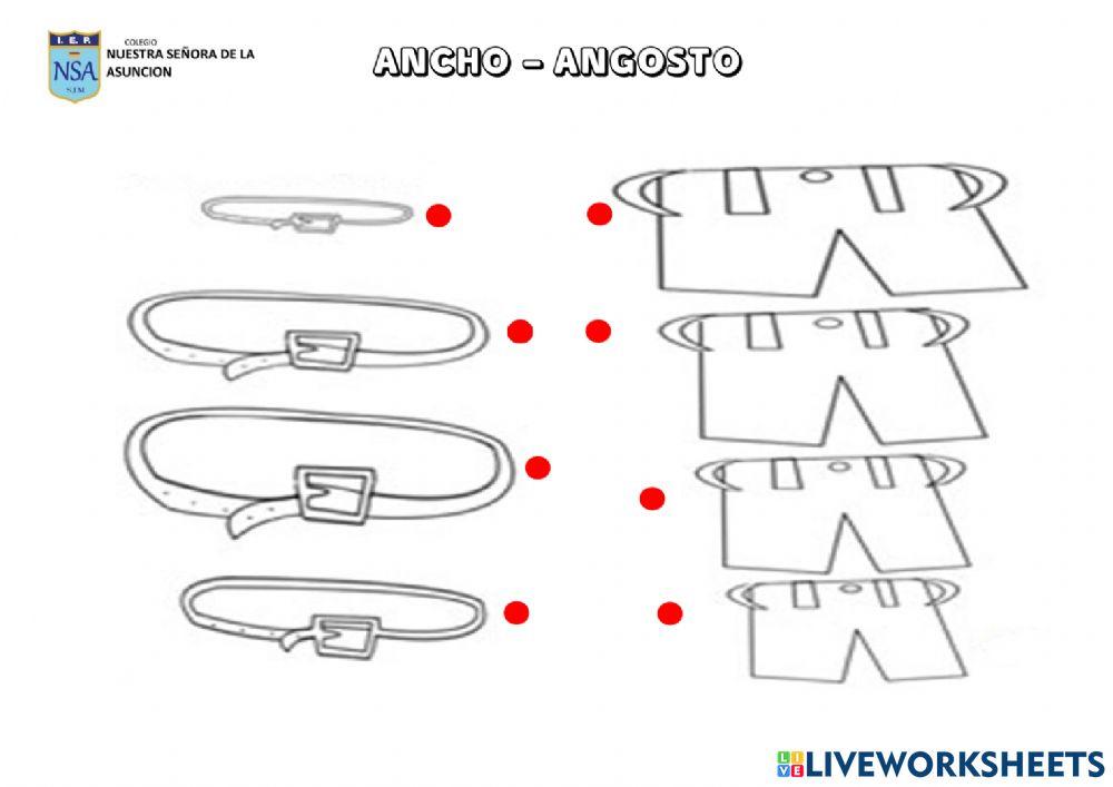 ANCHO - ANGOSTO online exercise for | Live Worksheets