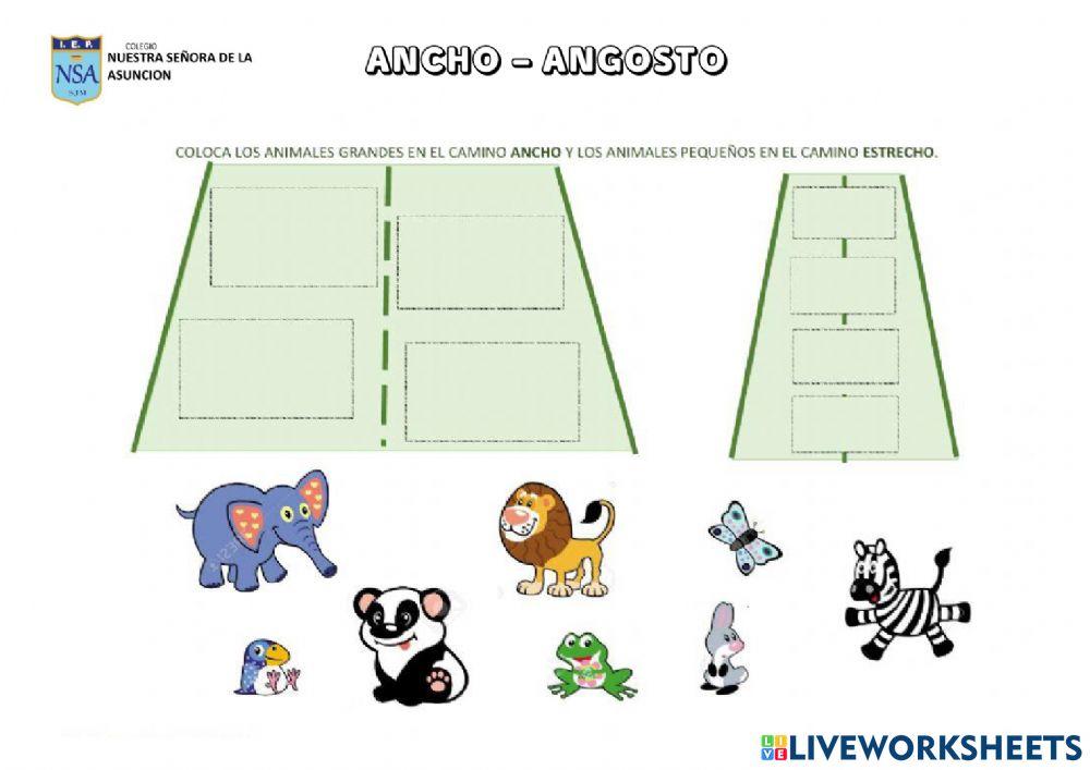 ANCHO - ANGOSTO online exercise for | Live Worksheets