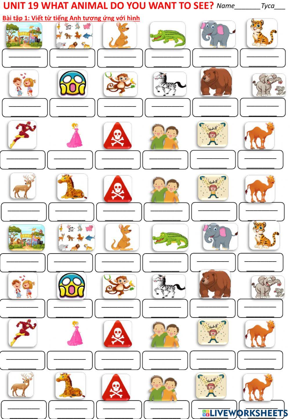 Unit 19 what animal do you want to see? worksheet | Live Worksheets