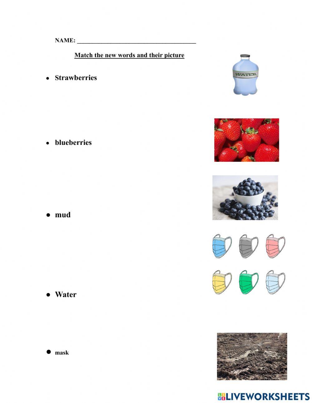 Match Words | Live Worksheets