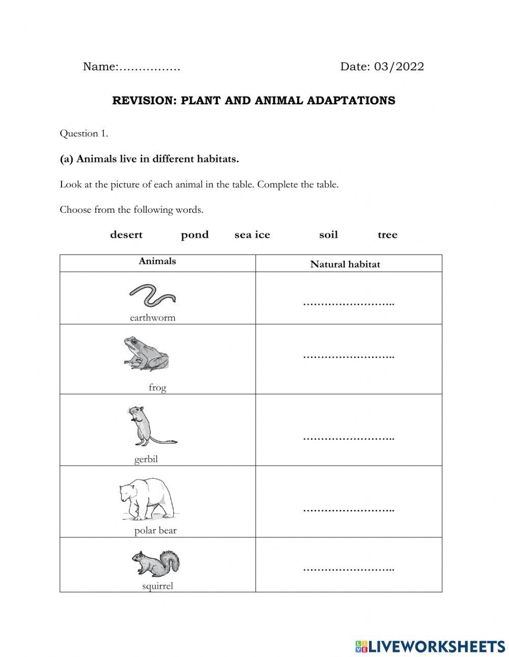 W31. Plants and animals are adapted to different environments online ...