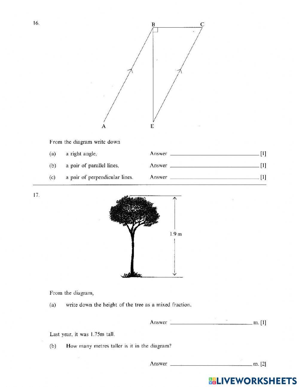 1996 Maths Bjc paper 1 worksheet | Live Worksheets