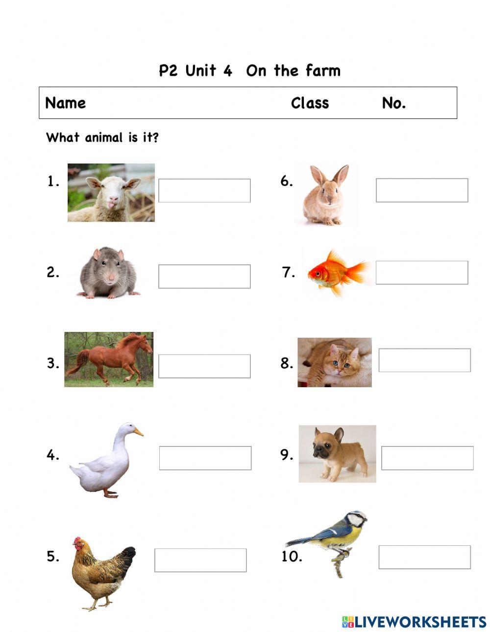 Unit 4 Animals on the farm worksheet | Live Worksheets