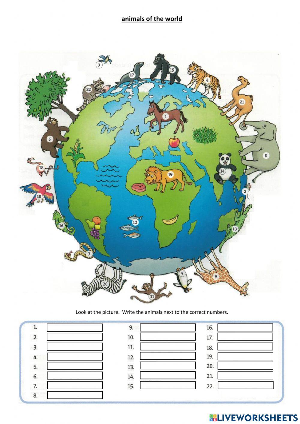 Animals of the world activity | Live Worksheets