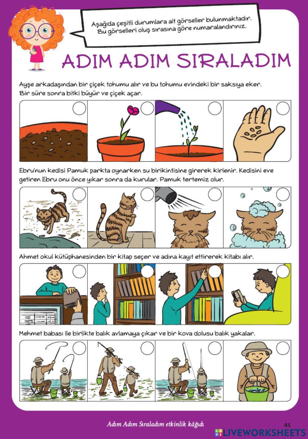 Adim adim siraladim worksheet | Live Worksheets
