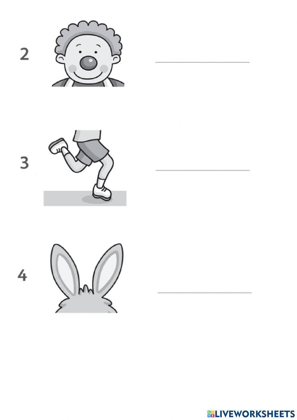 This is my nose online worksheet | Live Worksheets