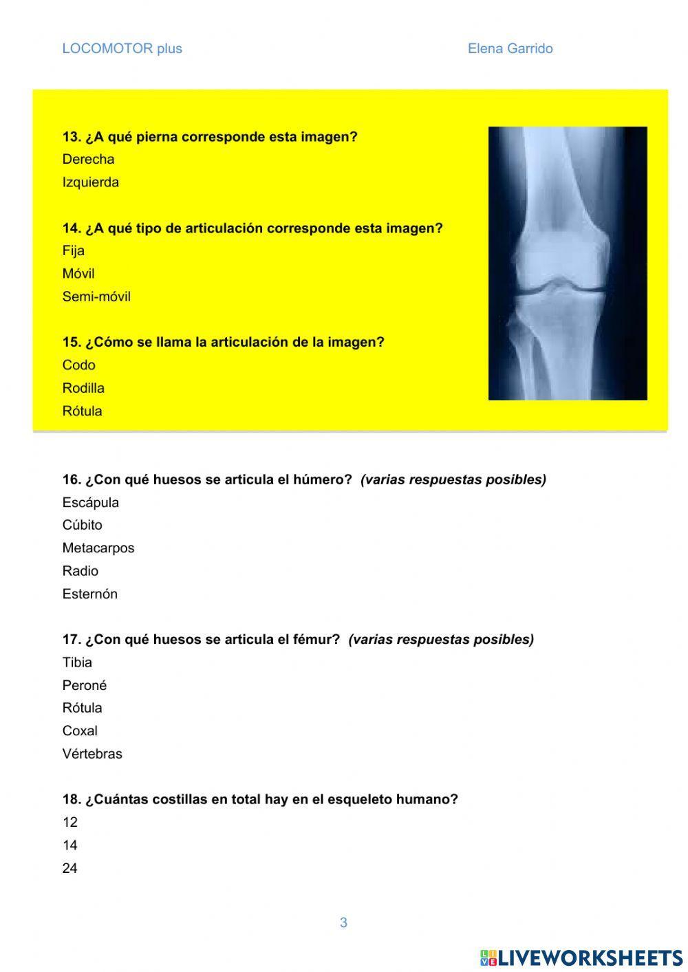 LOCOMOTOR plus worksheet | Live Worksheets