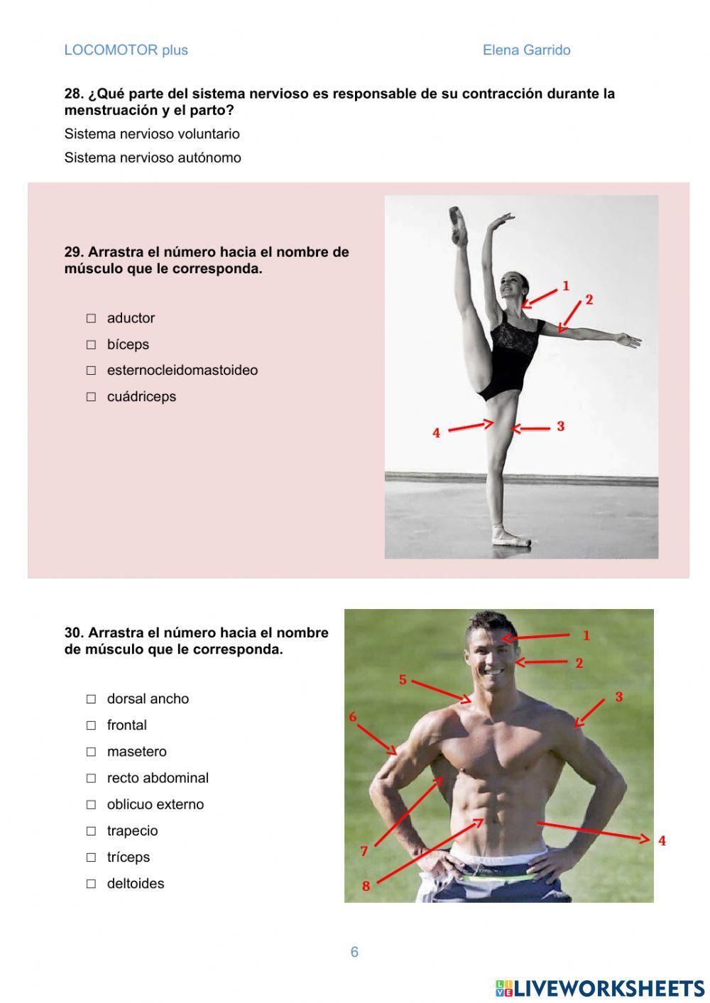 LOCOMOTOR plus worksheet | Live Worksheets