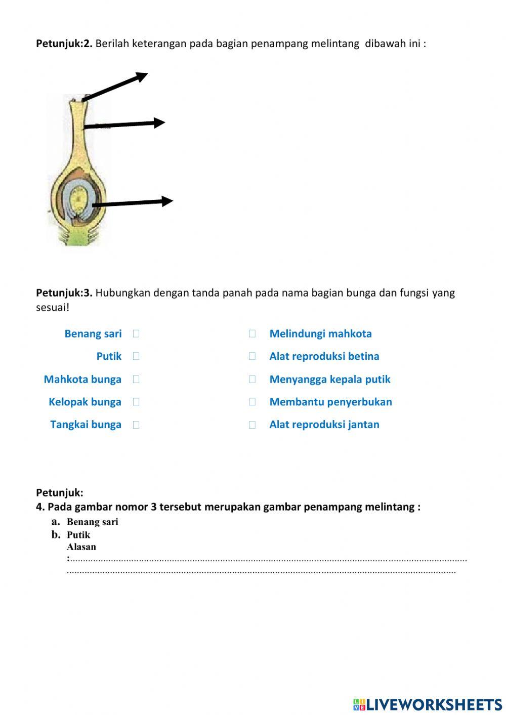 Mengamati Struktur bagian bunga worksheet | Live Worksheets