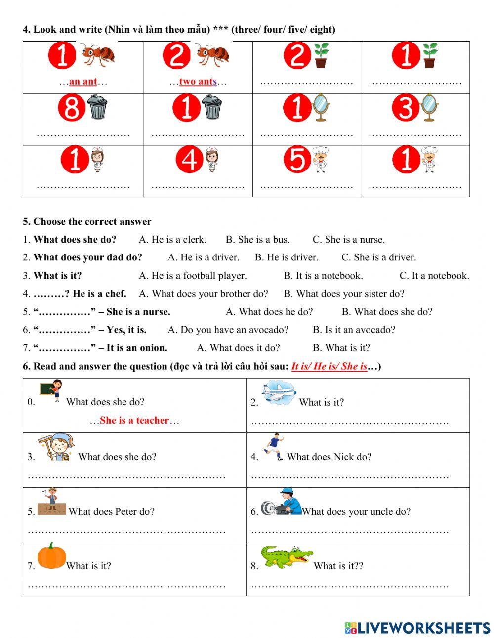 Grade 2 - Jobs cont. + Plural 1949150 | duyen98 | Live