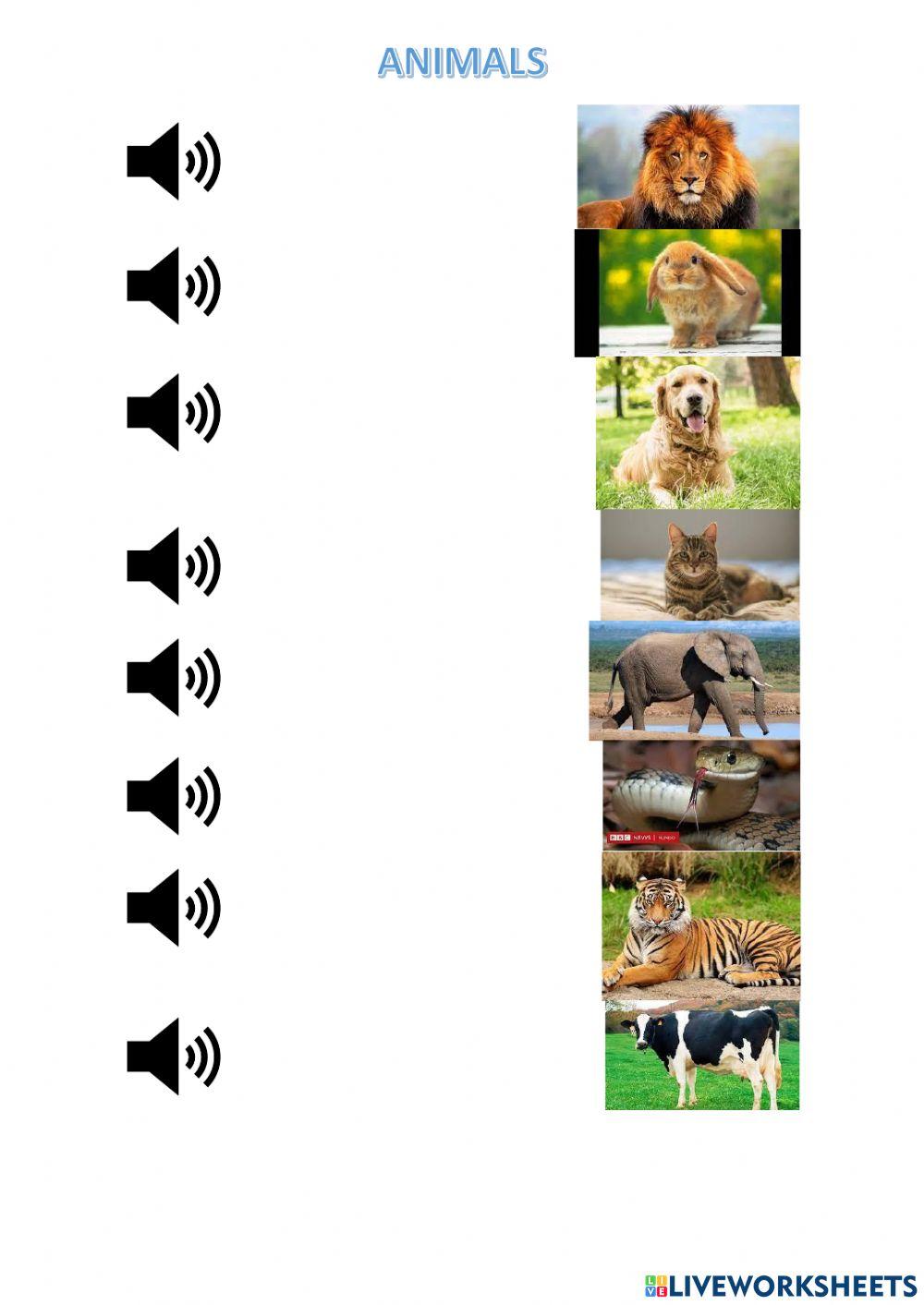 1950834 | Animal | Tesjh | LiveWorksheets