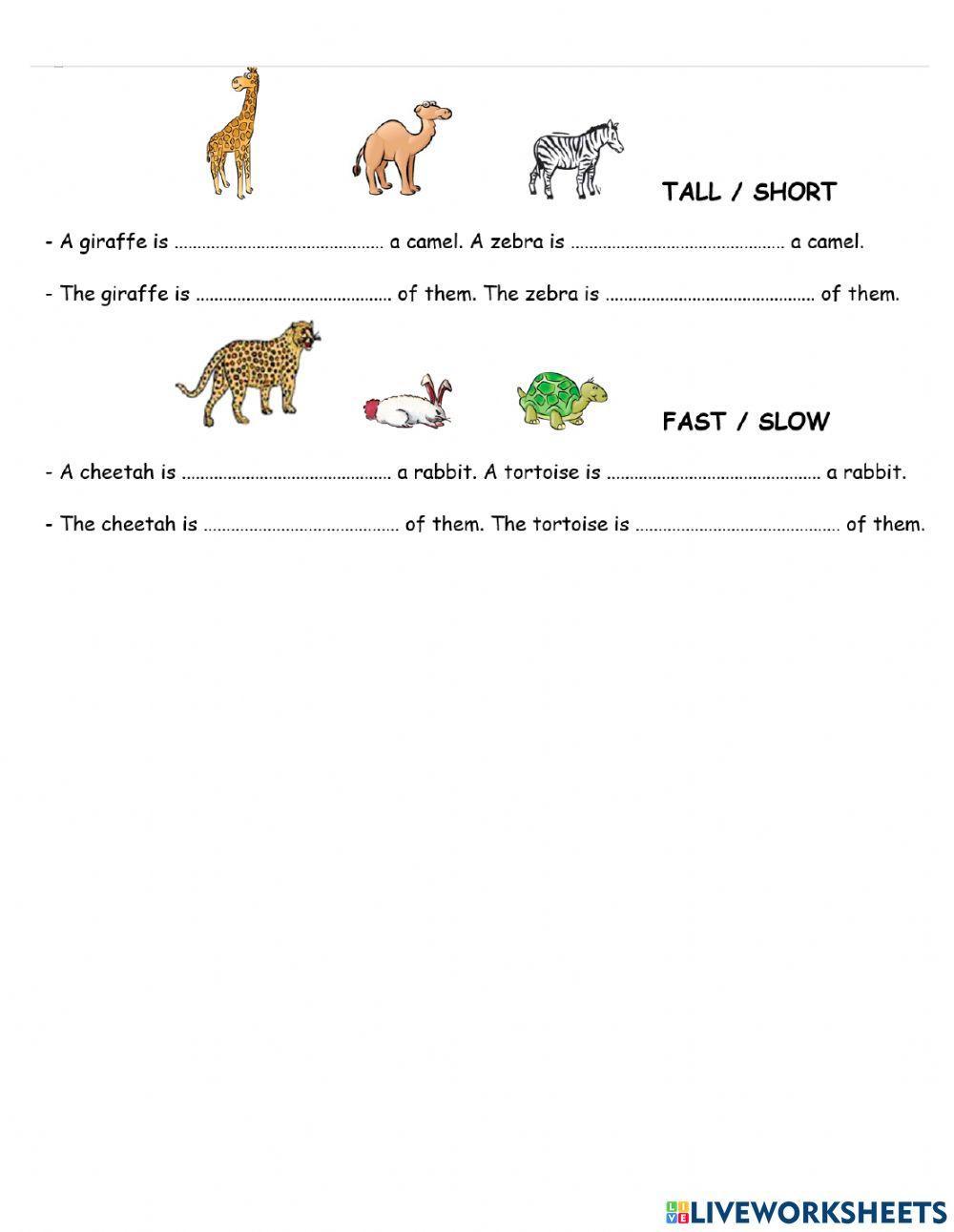 Comparing animals free worksheet | Live Worksheets