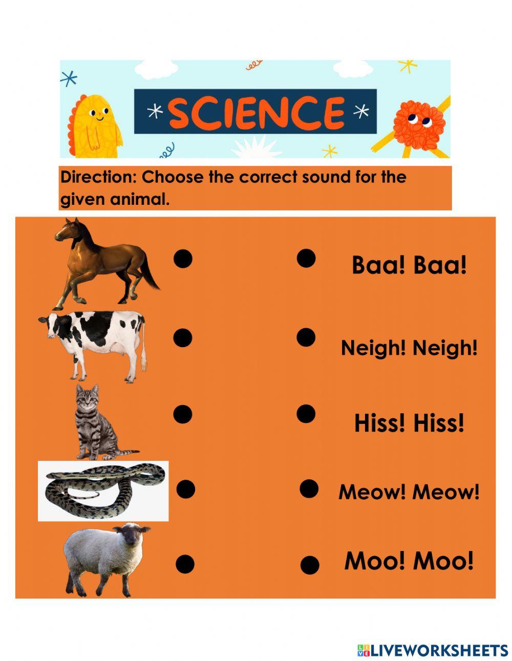 Quiz Science interactive worksheet | Live Worksheets