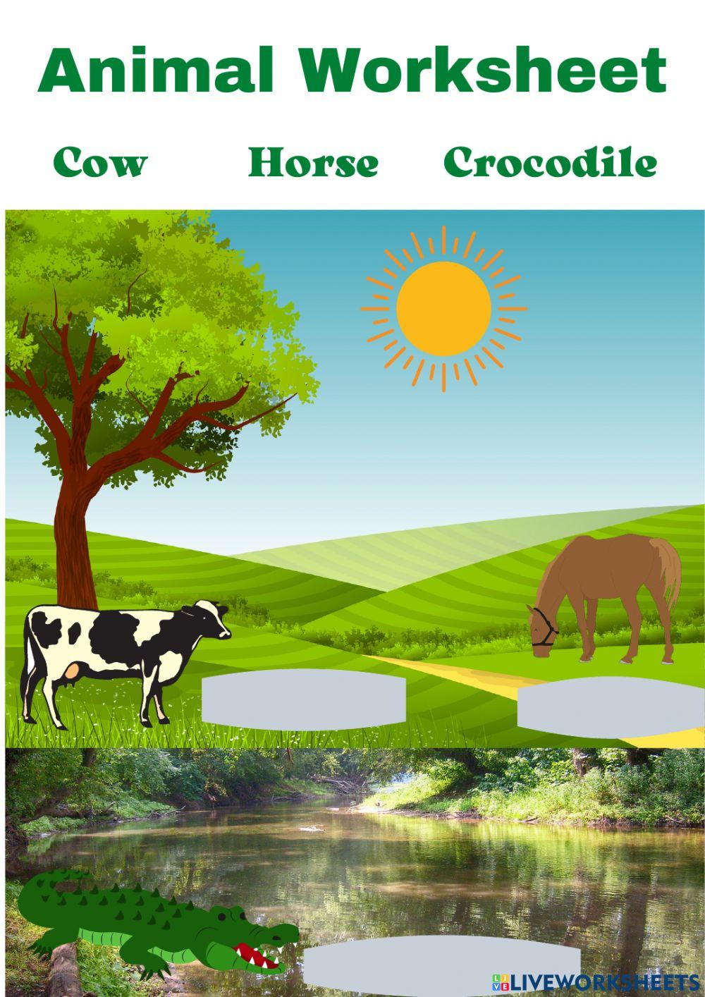 Worksheet Animal worksheet | Live Worksheets