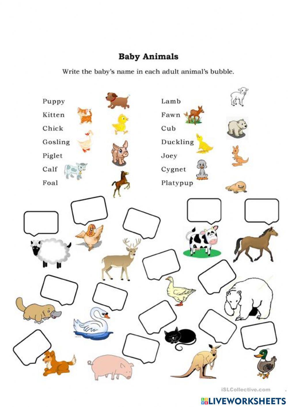 WHO IS MY BABY? online exercise for | Live Worksheets