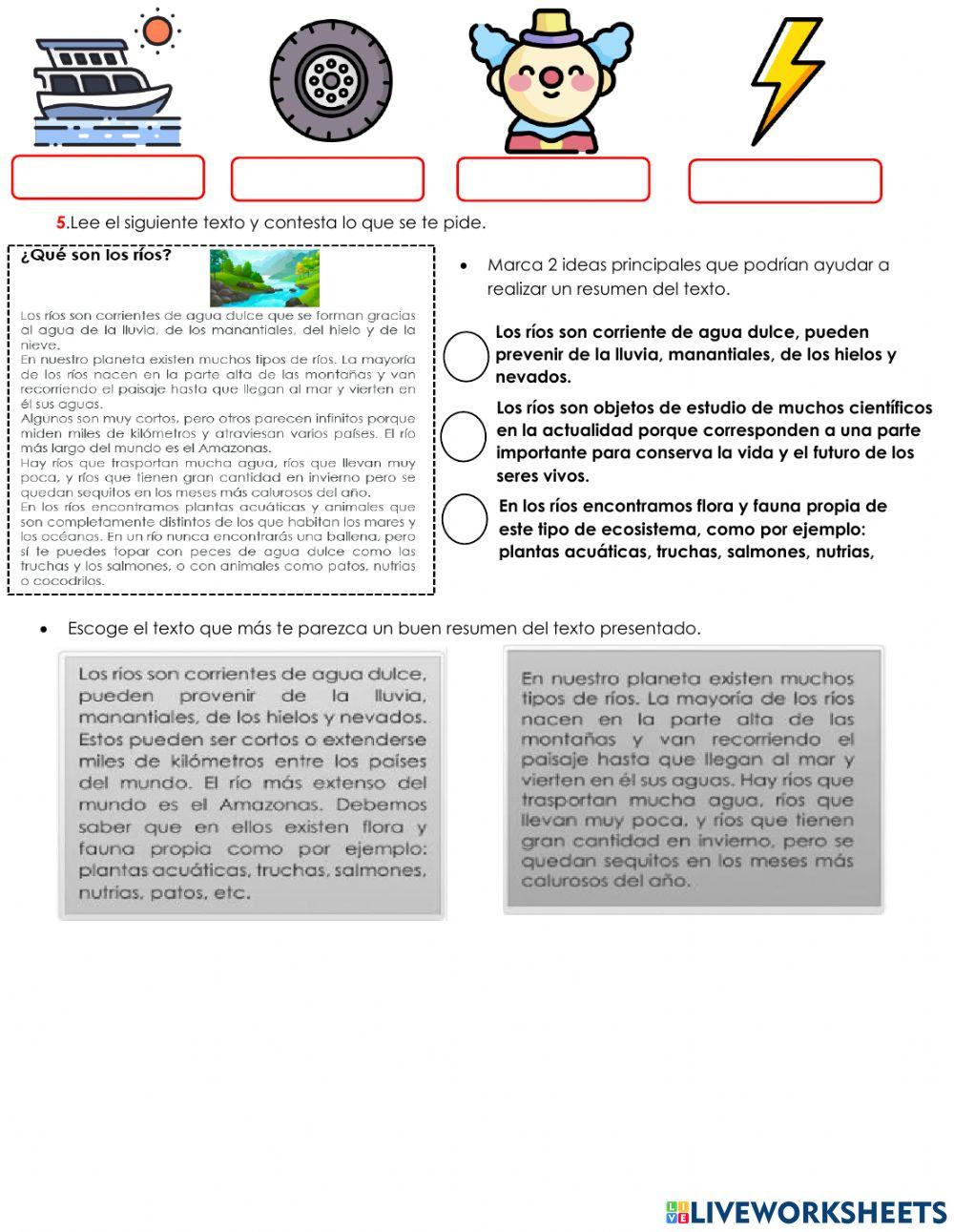 Español 2° interactive worksheet | Live Worksheets