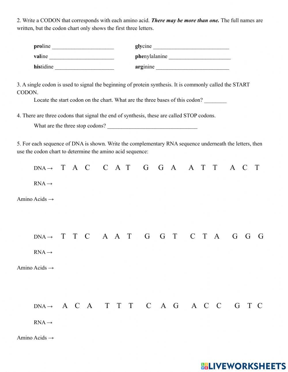 More Protein Sy… | Free Interactive Worksheets | 1955332