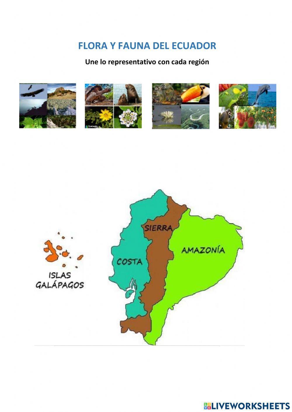 1955457 | Flora y fauna del ecuador | gloria_betancourt