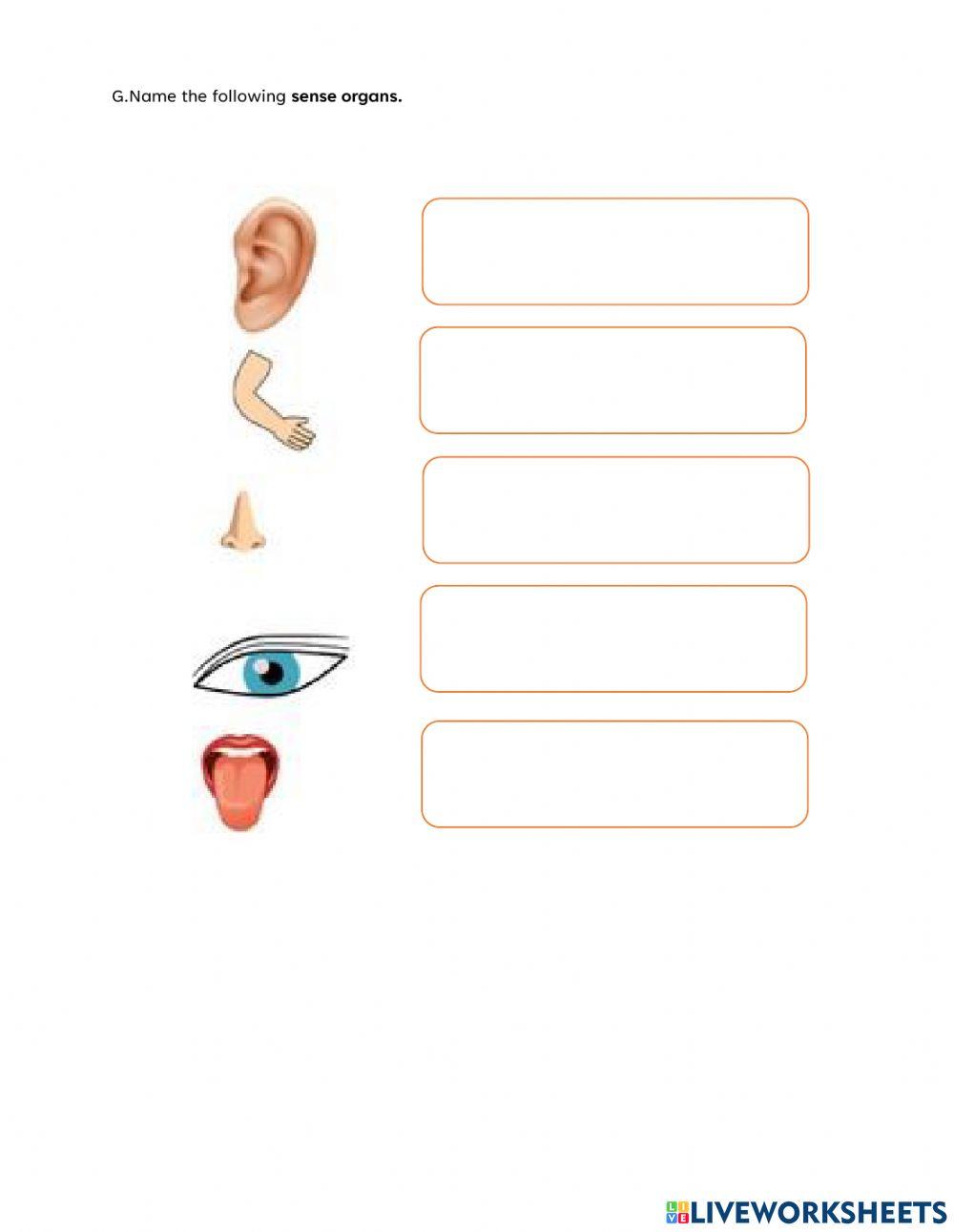 SBA1: SCIENCE YEAR 4 2022 online exercise for | Live Worksheets