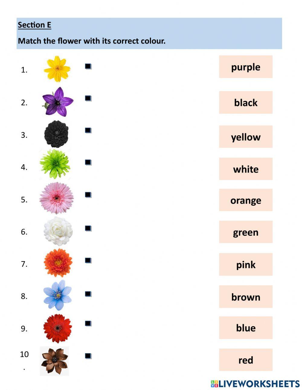 Test online exercise for year 2 | Live Worksheets