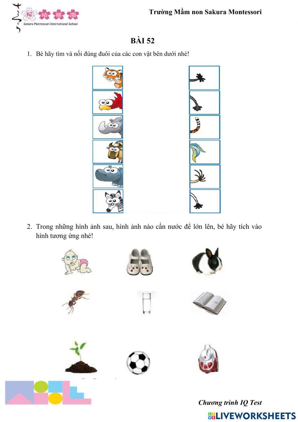 Iq test online worksheet for 5-6 | Live Worksheets