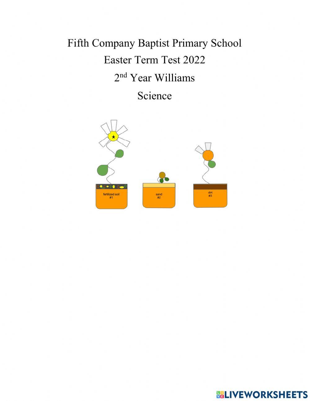 Second Yr Term Two Science online exercise for | Live Worksheets