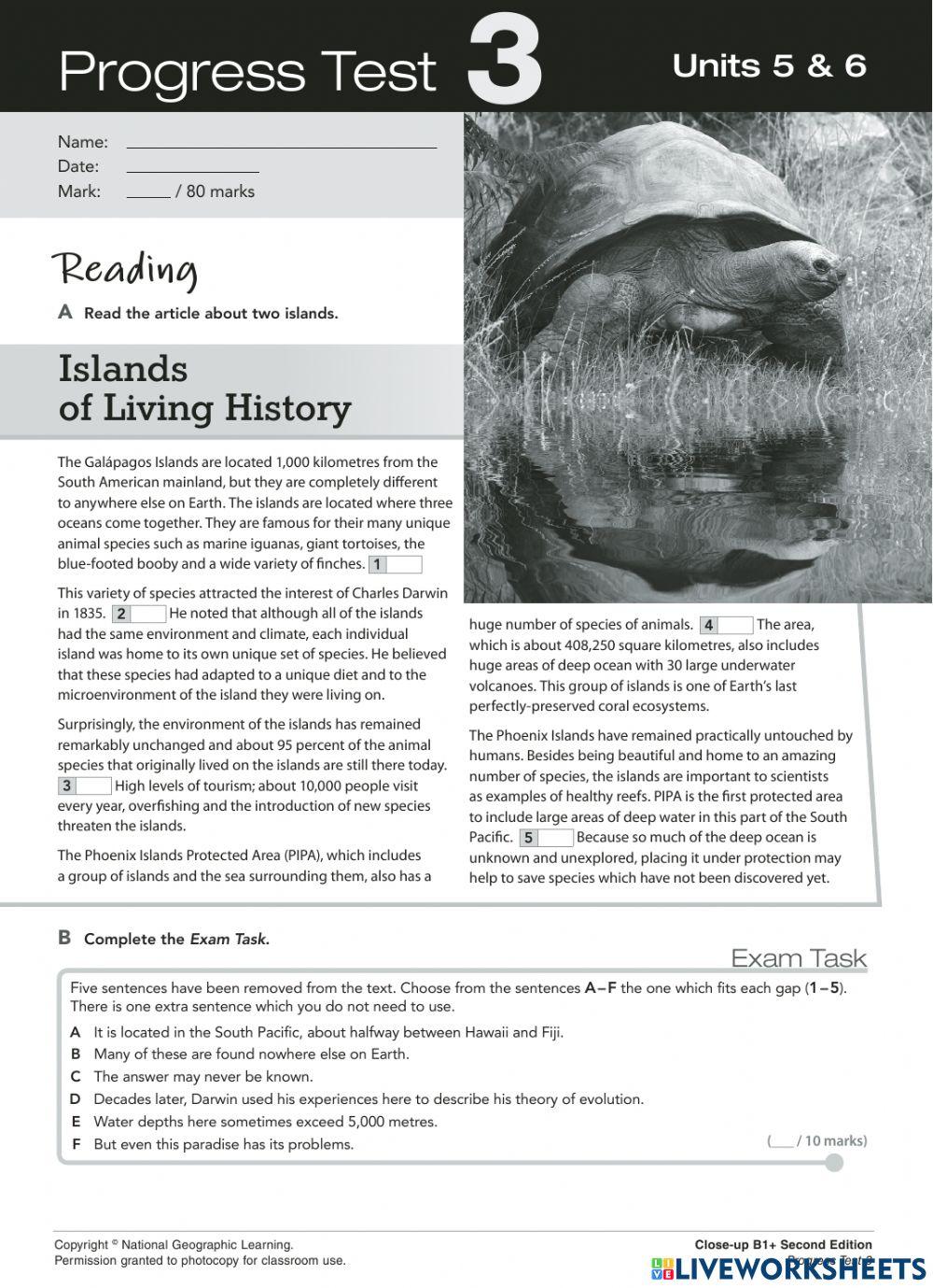 progress test b1+ online exercise for | Live Worksheets