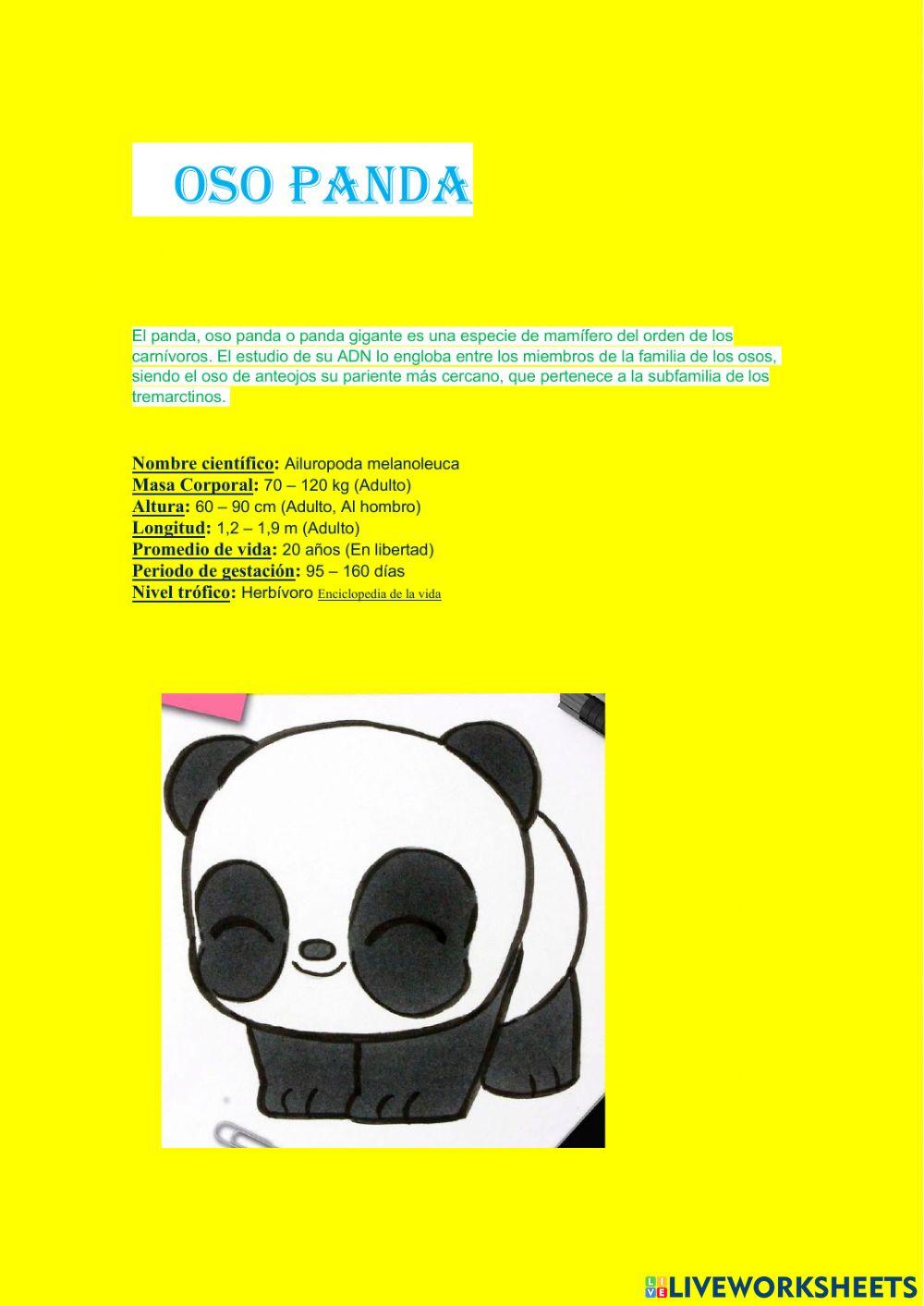 1960637 | Texto expositivo oso panda | LaCaPi09