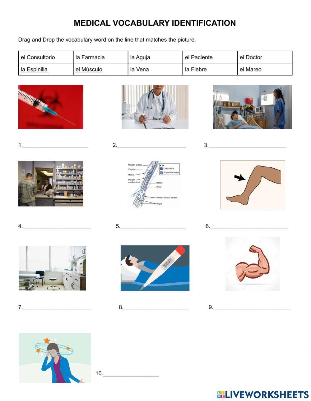 Medical Terms PR | LiveWorksheets | 1960713