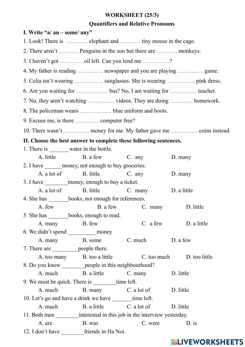 Quantifiers + Relative pronouns worksheet | Live Worksheets