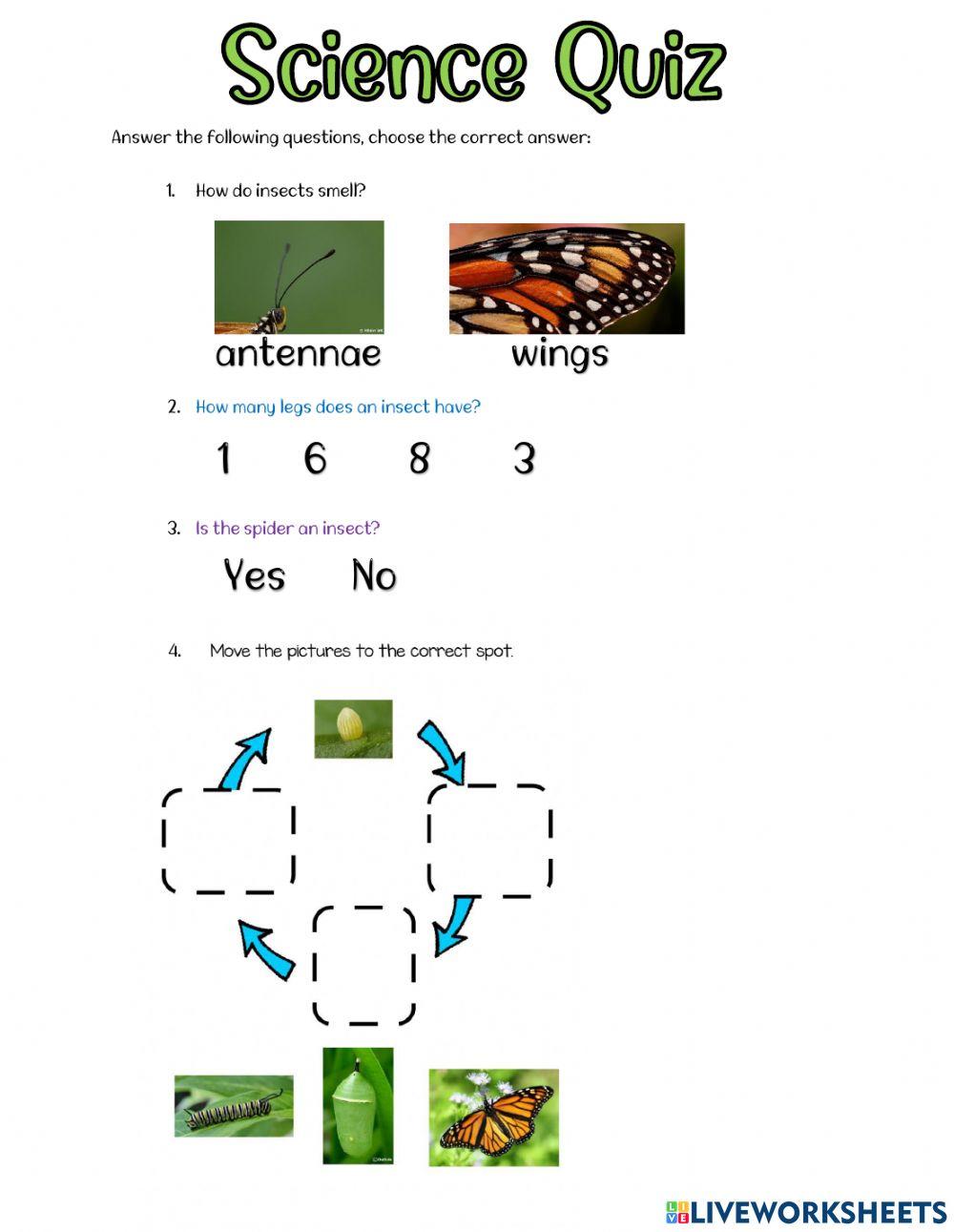 quiz: insects, plants online exercise for | Live Worksheets