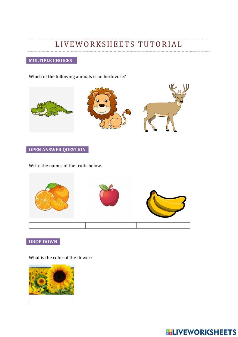 Liveworksheets Tutorial 1961611 | AuliaOlivia22 | Live