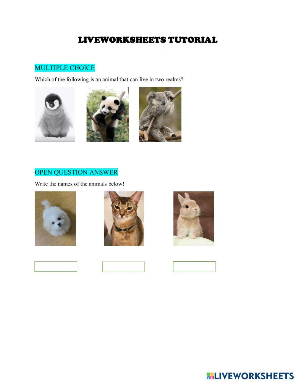 English online exercise for 6 | Live Worksheets