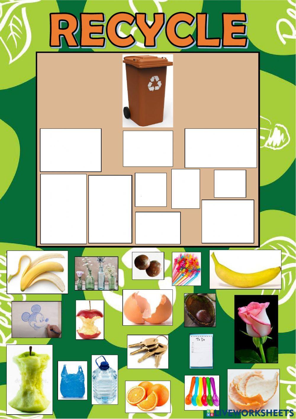 Recycle activity for CHILDREN | Live Worksheets