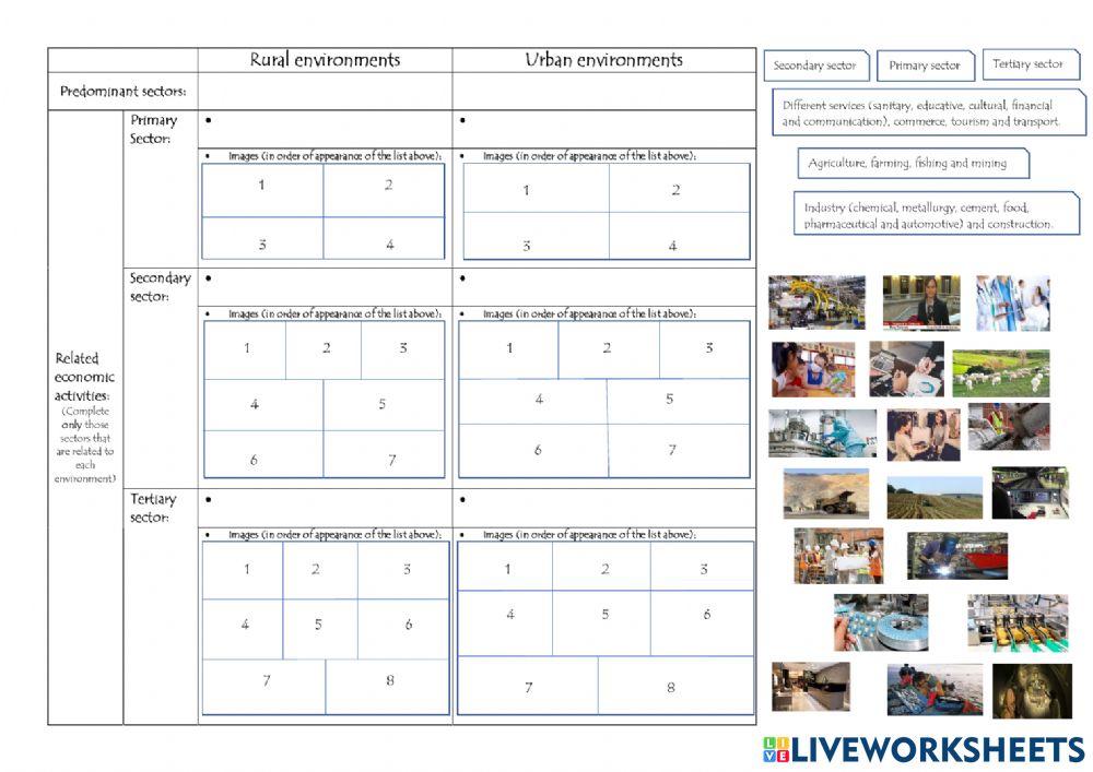 Rural vs Urban environments 3571220 | MarChitas | Live