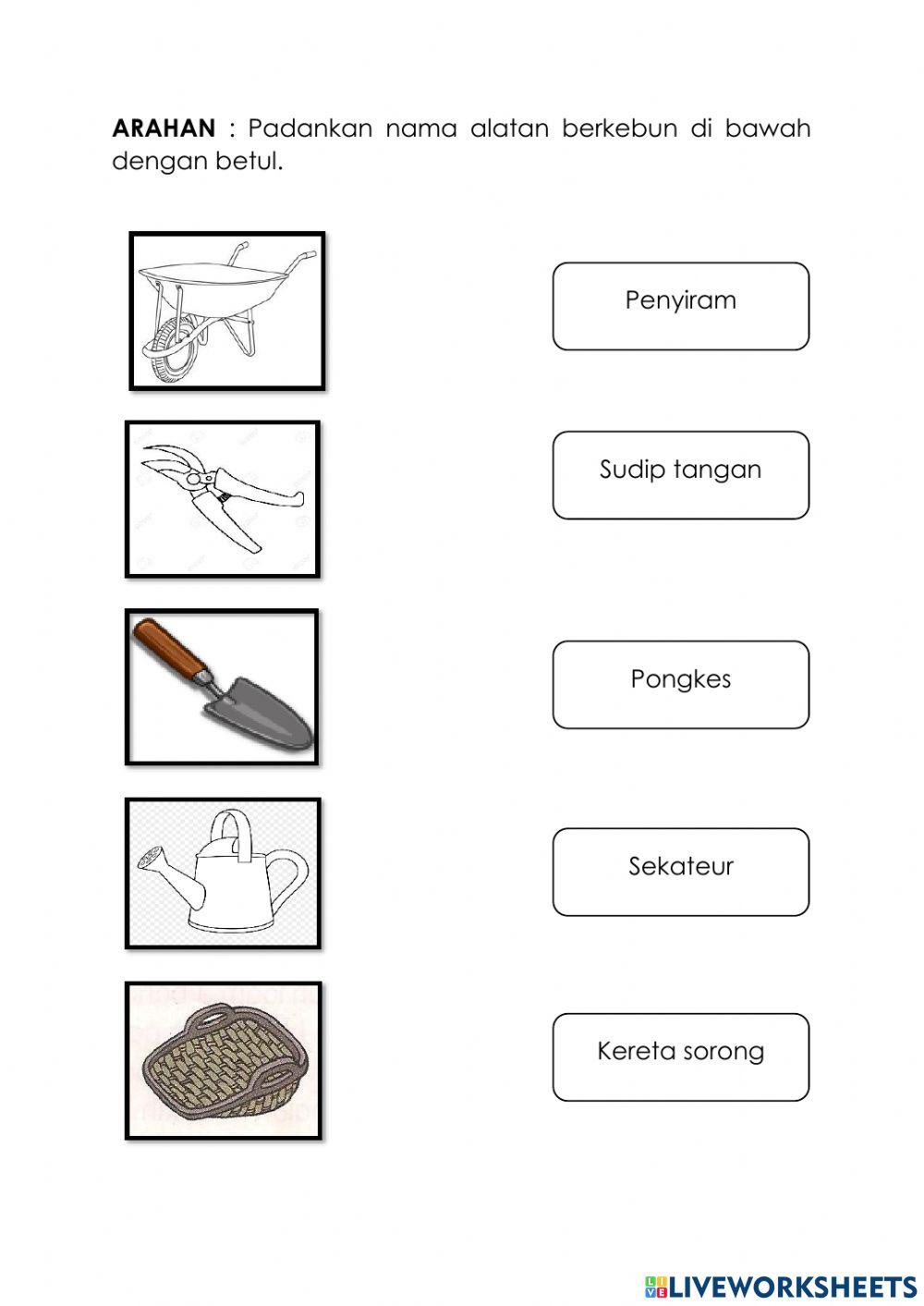 Mengenal alatan berkebun activity | Live Worksheets