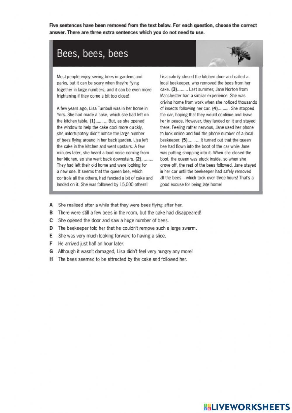 B1 PET READING PARTS 1-6 - TEST 3 6856114 | bernalelisa