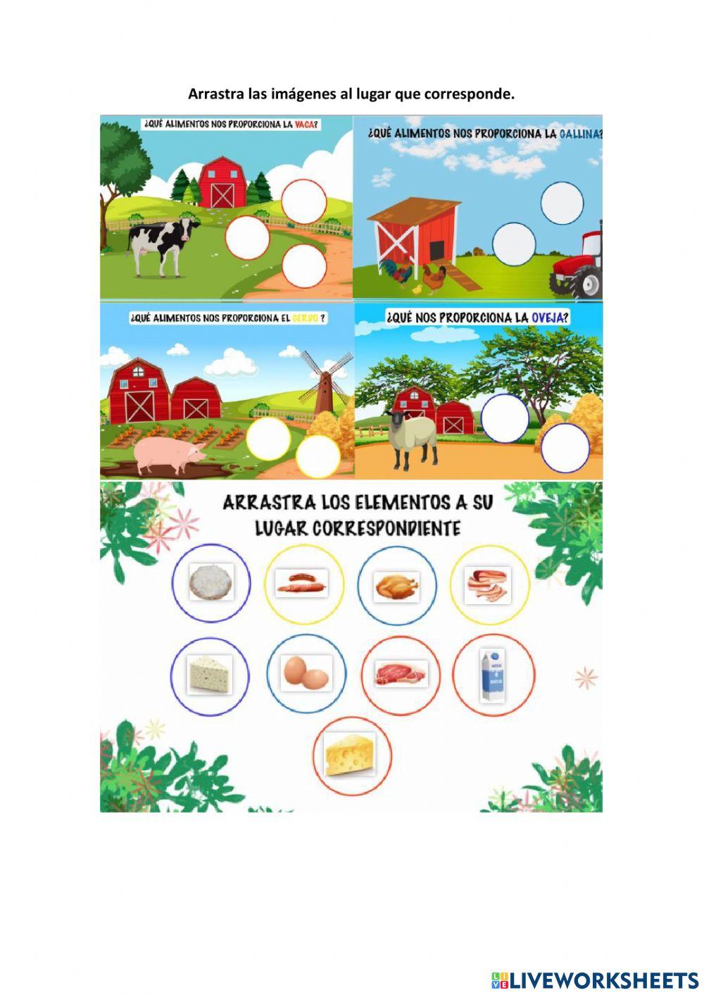 Beneficios de los animales online activity | Live Worksheets